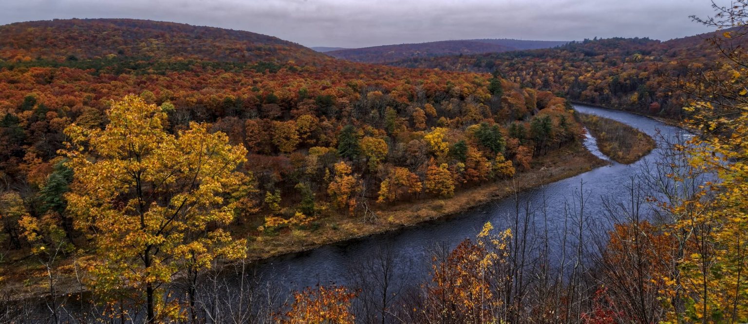 Fall In The Catskills: Foliage, Festivals & Fun Activities
